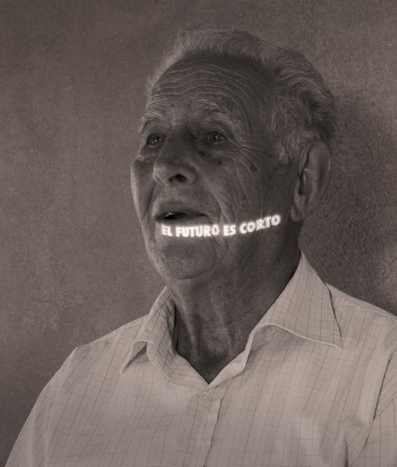 Martin Firrell | Public Art | Selected Works 1998-2024